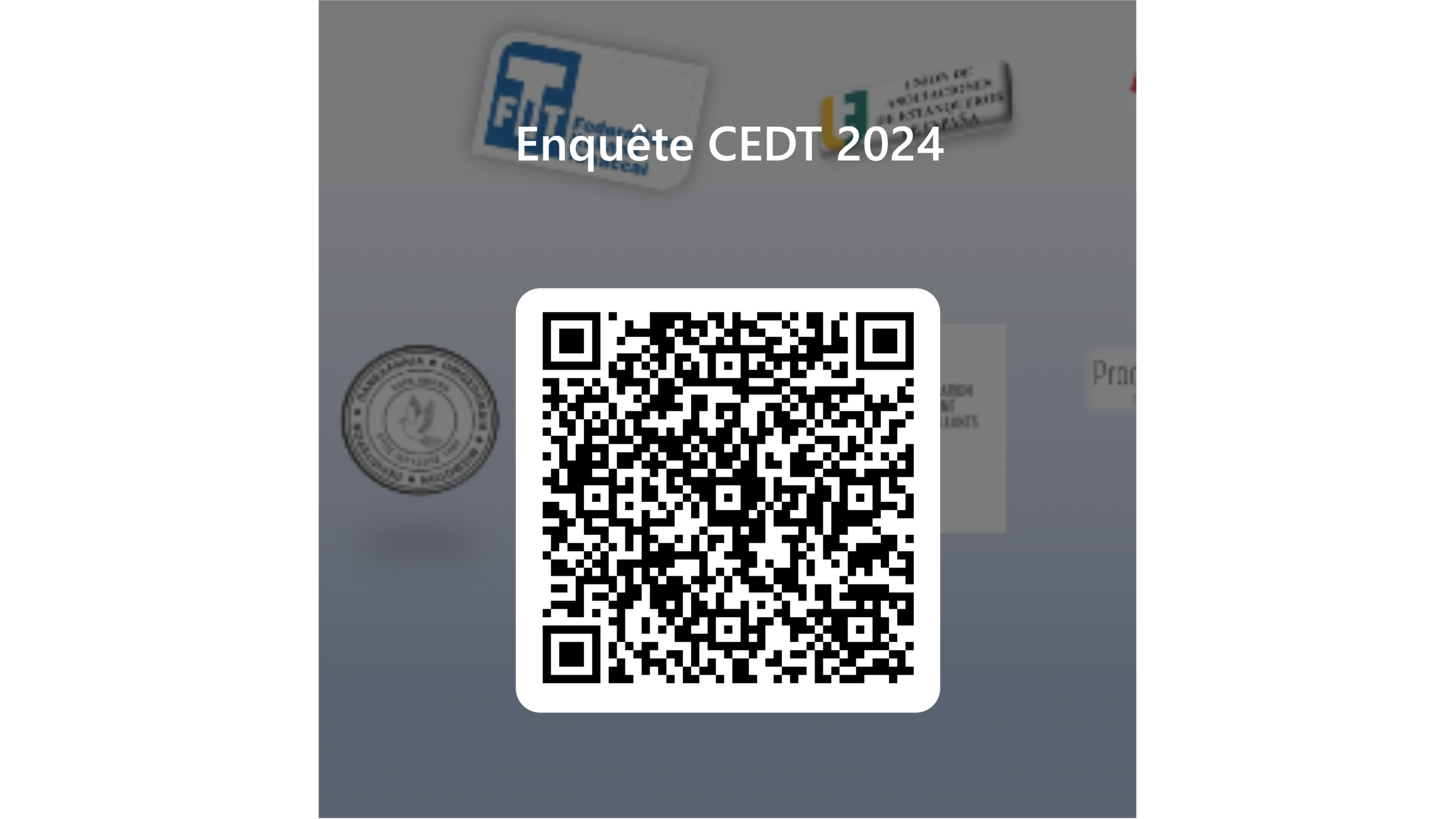 CEDT 2024-Umfrage - WKO