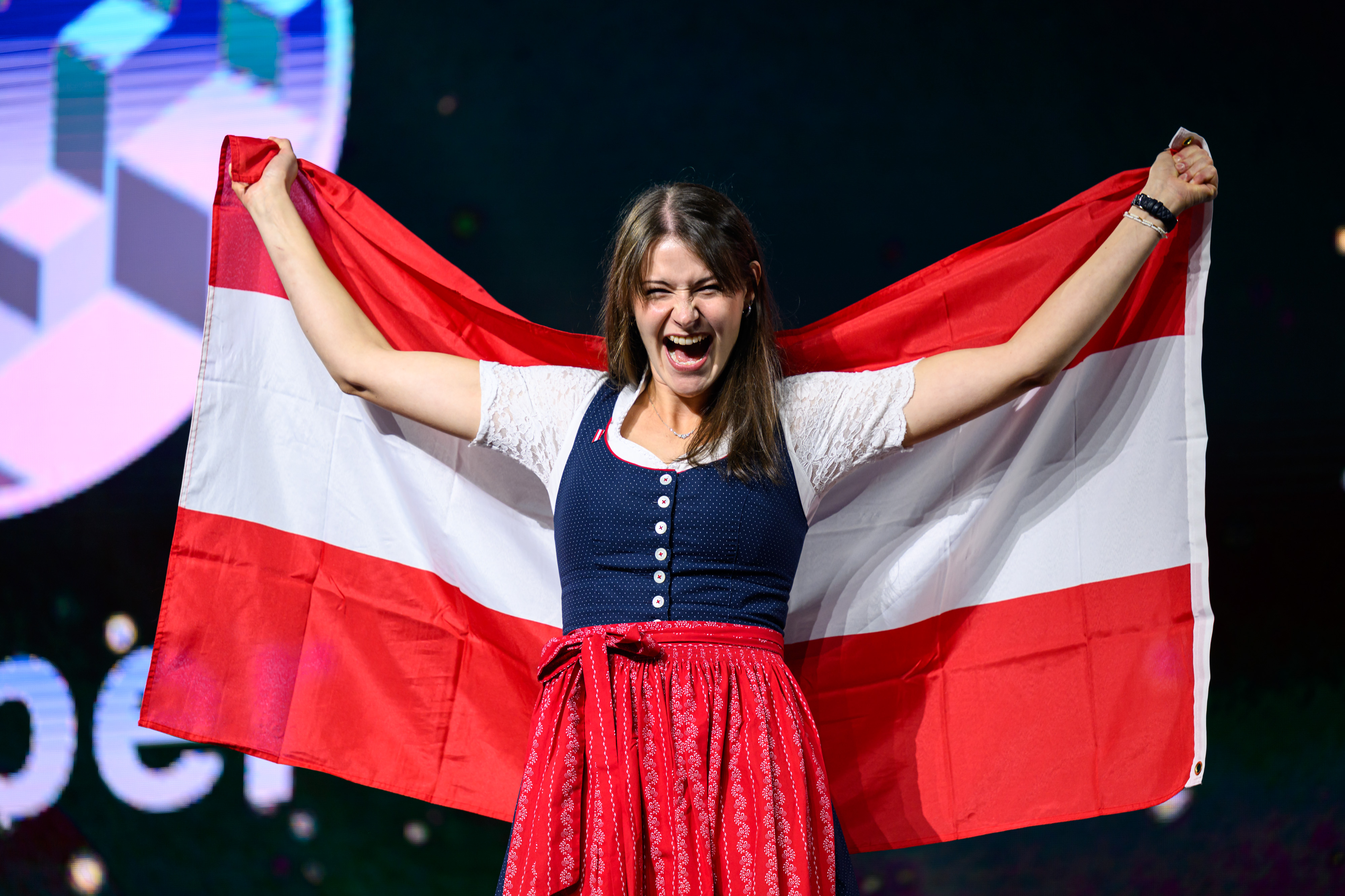 WKNÖ-Ecker zu EuroSkills 2025-Erfolgen: Niederösterreichische ...