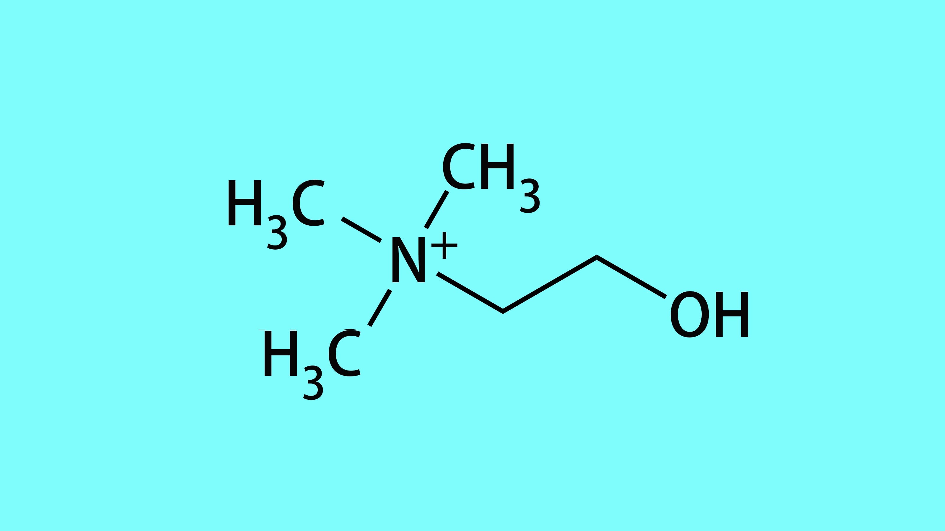Antidumpingverfahren: Cholinchlorid - WKO