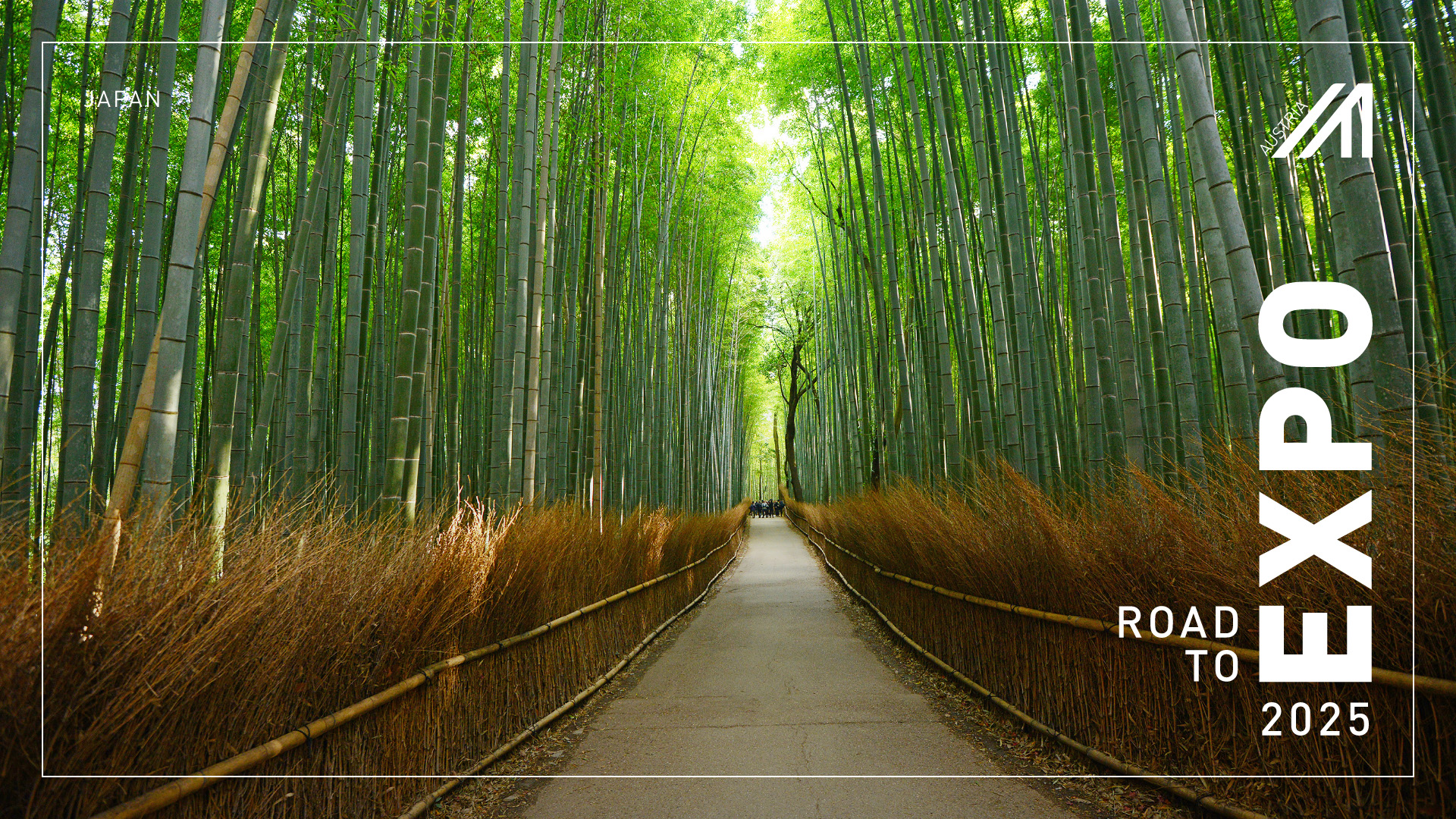 Japan: Veranstaltungen - WKO