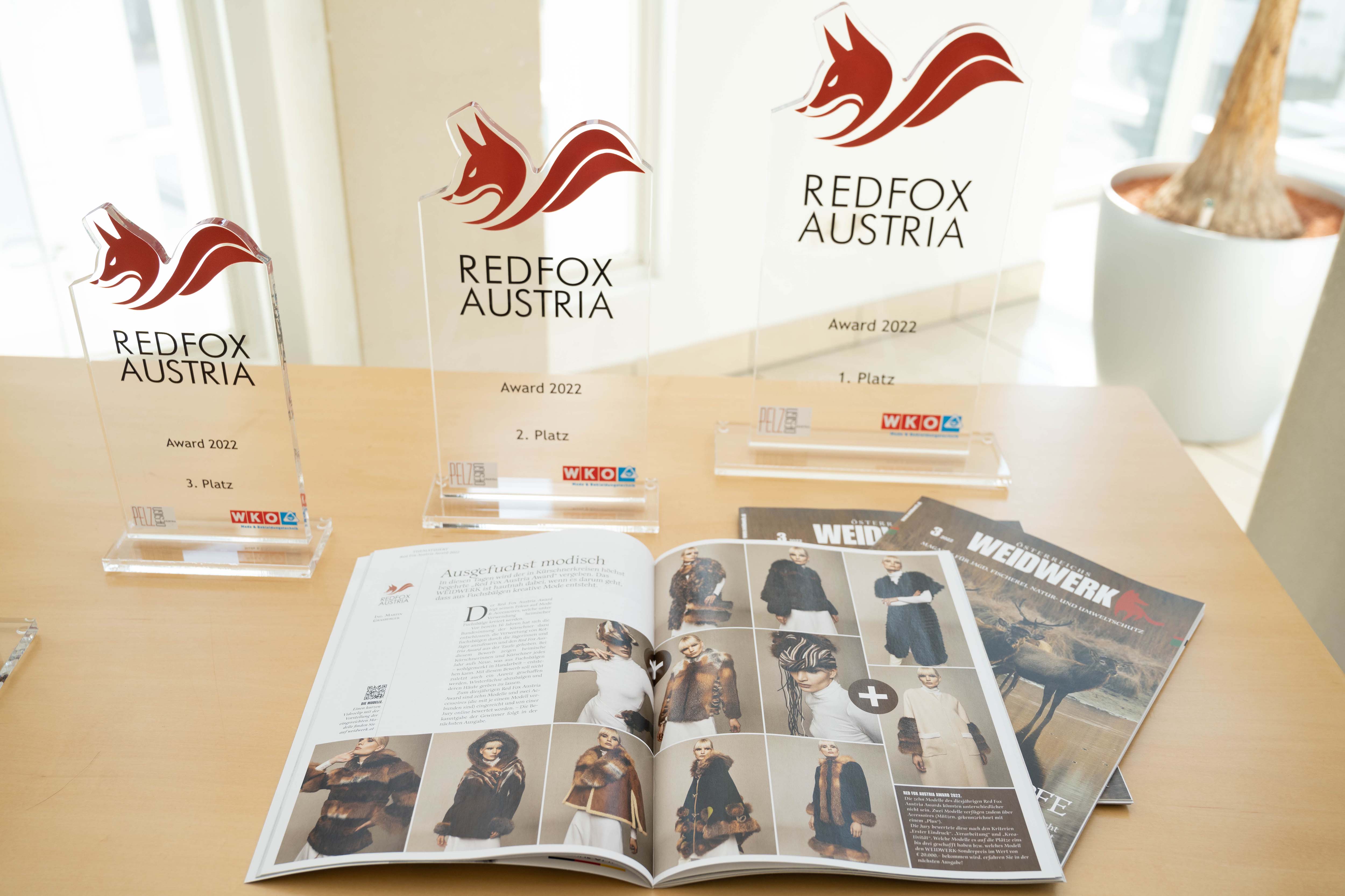 Red Fox Austria Award 2022 - WKO