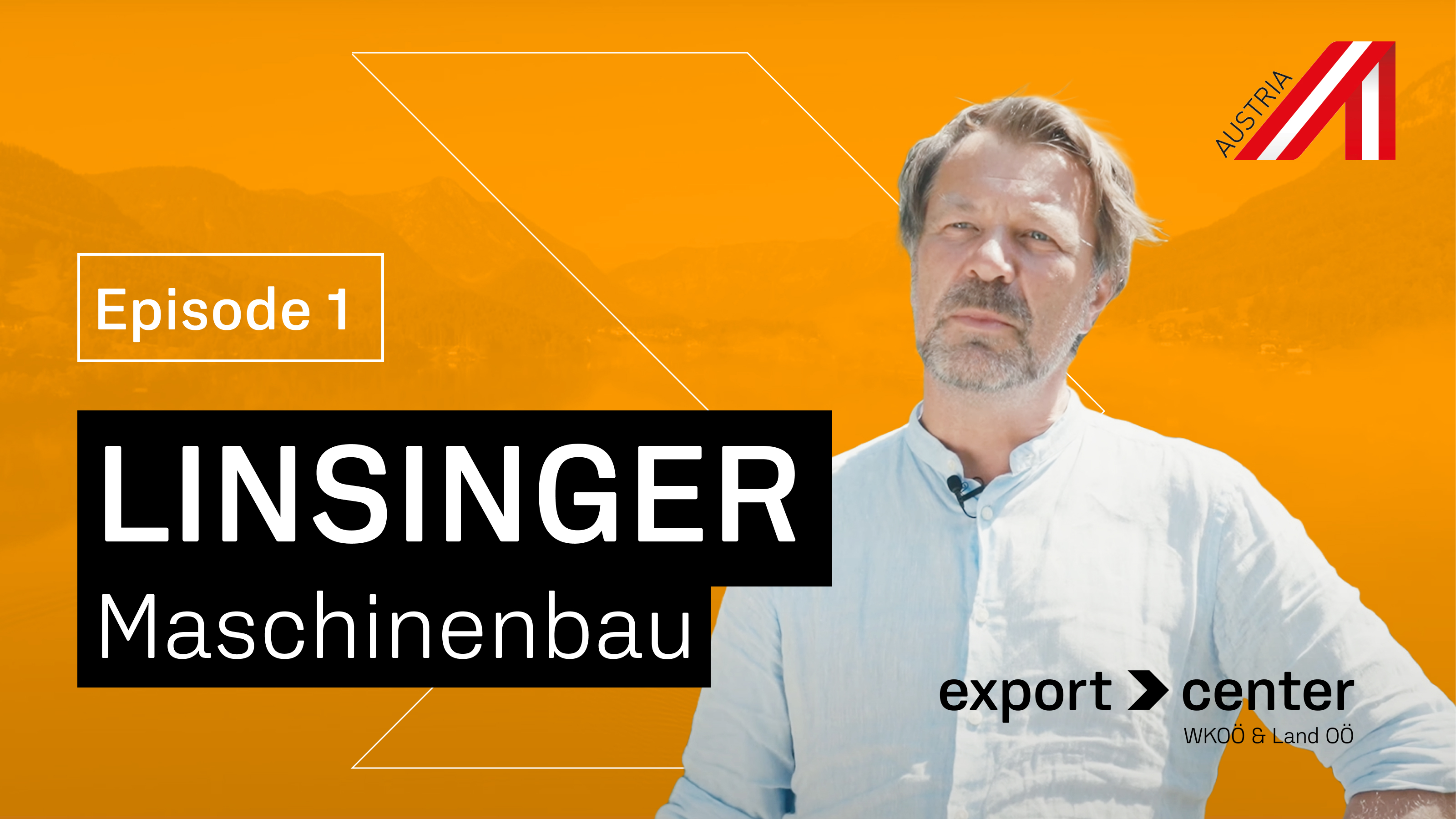 Linsinger Maschinenbau - WKO