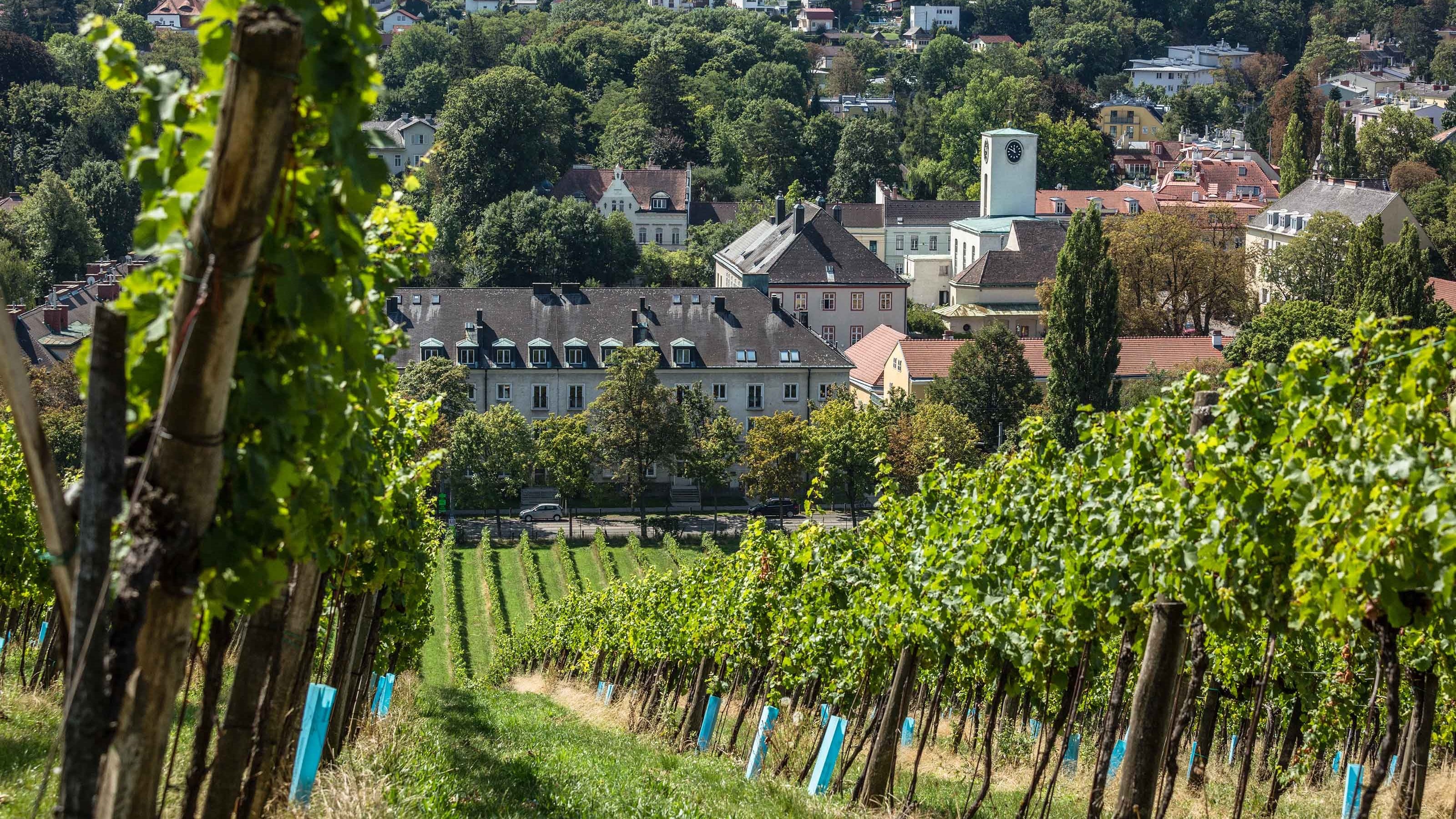 Wien 17. Hernals - Wien - WKO