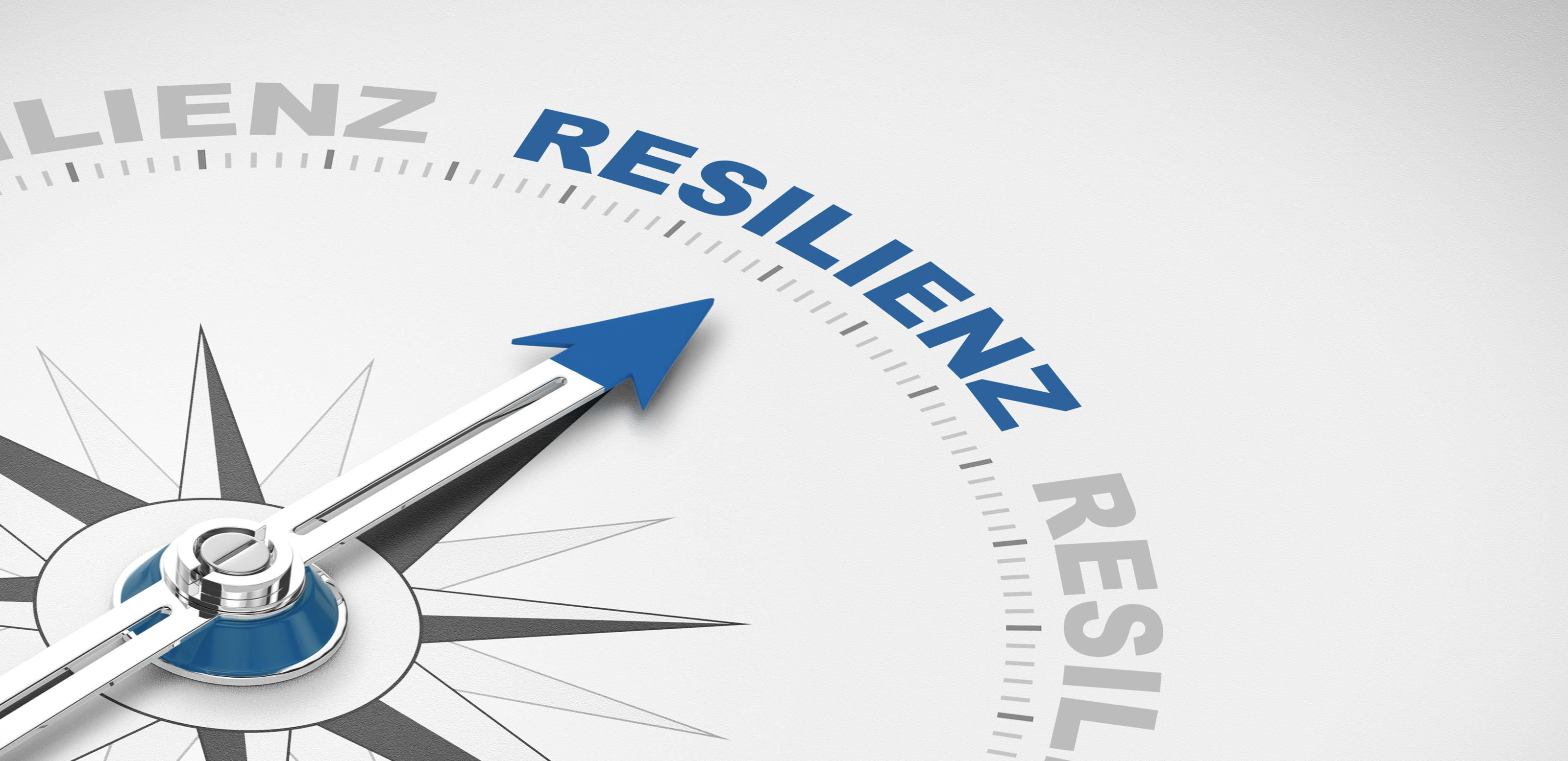 Das Wiener Resilienzmodell - WKO